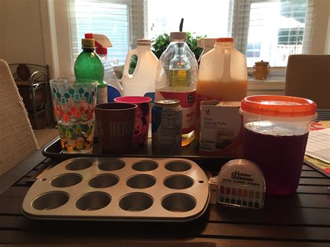 Exploring Acids And Bases Empowering Parents To Teach