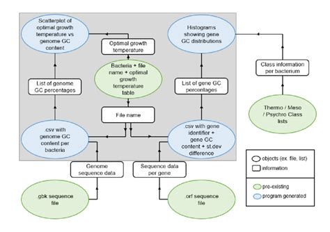 Flow Chart Demonstrating An Overview Of The Program The Central Grey Download Scientific