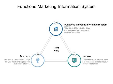 Functions Marketing Information System Ppt Powerpoint Presentation Portfoli