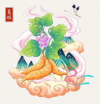 草本葛根图片素材 草本葛根设计素材 草本葛根摄影作品 草本葛根源文件下载 草本葛根图片素材下载 草本葛根背景素材 草本葛根模板下载 搜索中心
