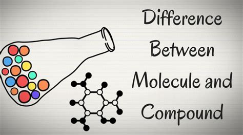 Molecule Vs Compound What Is The Exact Difference