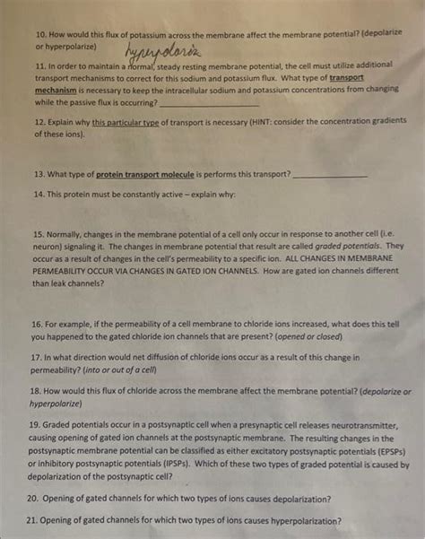 Solved Membrane Potentials Resting And Graded Potentials 1 Chegg