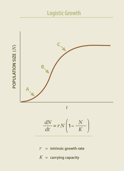 Solved 1 Examine The Logistic Growth Equation On The Rig