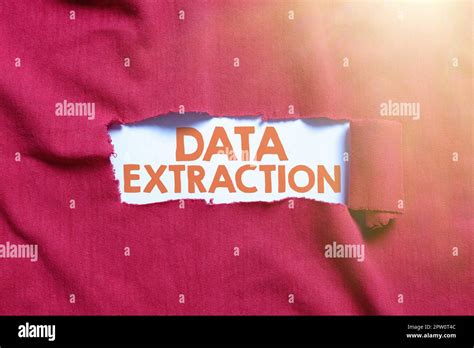 Text Caption Presenting Data Extraction Business Idea Act Or Process
