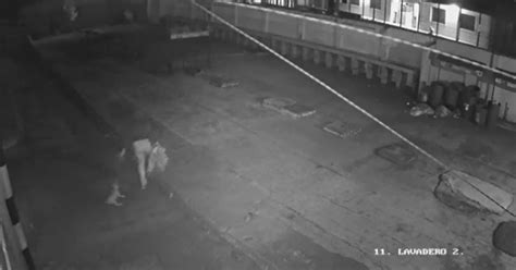 condenan a 22 años de prisión a un hombre por matar un perro en el batallón del ejército en