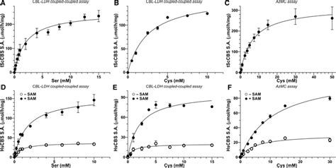 Enzyme Kinetics Steady State Enzyme Kinetics Was Performed For Tsccbs