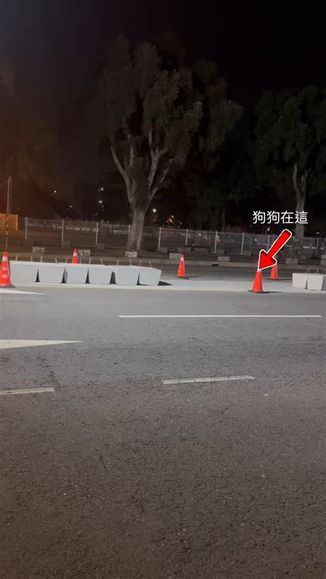 第一次聽到女生在大馬路上罵男友 在對巷都聽得到 ：你到底要不要回家 ：你吃的穿的住的都是我出的 ：你為什麼還要這樣對我 ：你這樣以後我要給你戴項圈 我聽到這句的時候 我心裡想說 蛤？項圈