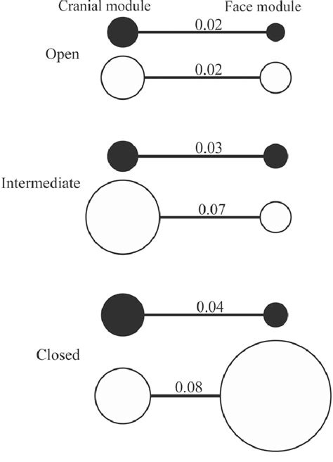 Conditional Independence Graph For A Two Module Organization Of Roe