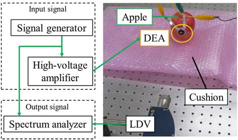 Vibration Experiment System Swept Sine Wave Is Generated And Inputted Download Scientific