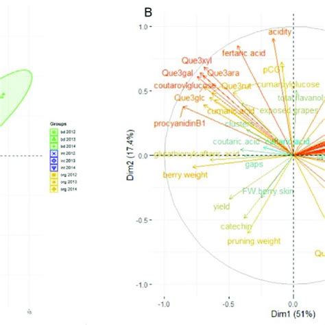 scores plot a and loadings plot b of the principle component