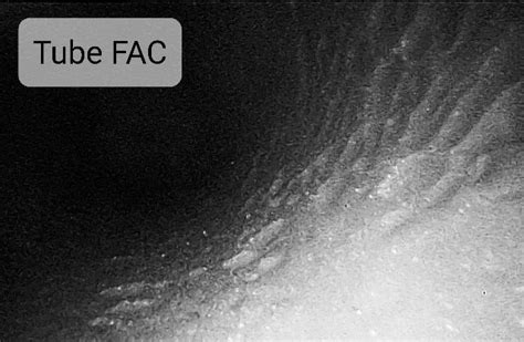 Rochmat Hidayat Posted On Linkedin