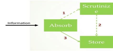 Storage Of The Information Stored Download Scientific Diagram