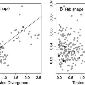 A Among Nine Independent Species Pairs Pelvic Bone Shape Divergence Download Scientific