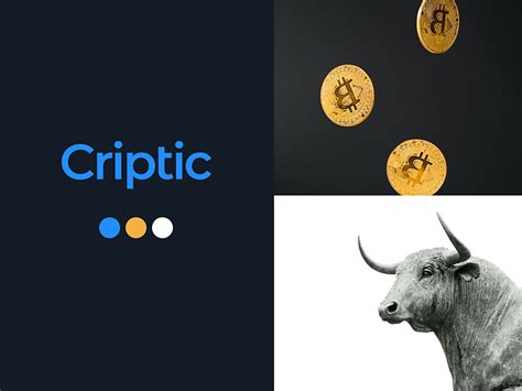Criptic Crypto App Branding By Thomas Palumbo On Dribbble