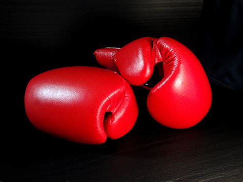Differences In Qa Testing Soap Vs Json Services Using Soapsonar