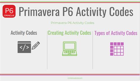primavera p6 activity codes enable to make group and sort filter