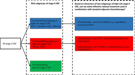 Frontiers Dissected Subgroups Predict The Risk Of Recurrence Of Stage Ii Colorectal Cancer And