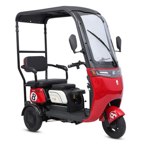 New Arrival 3 Wheel Electric Bicycle Trike With Roof Electric Scooter
