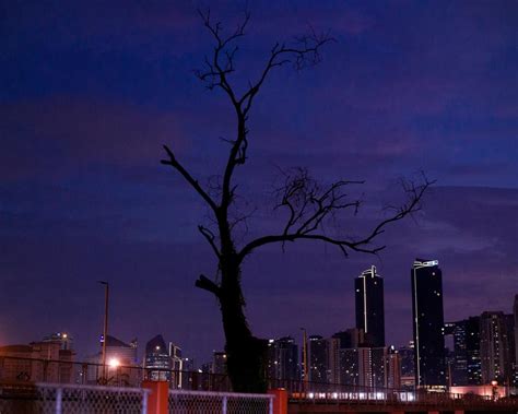 Transformation Theory สองเมืองที่ติดอยู่ระหว่างความเป็นจริงและภาพฝัน