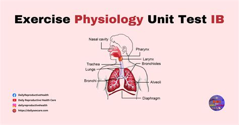 Exercise Physiology Unit Test IB
