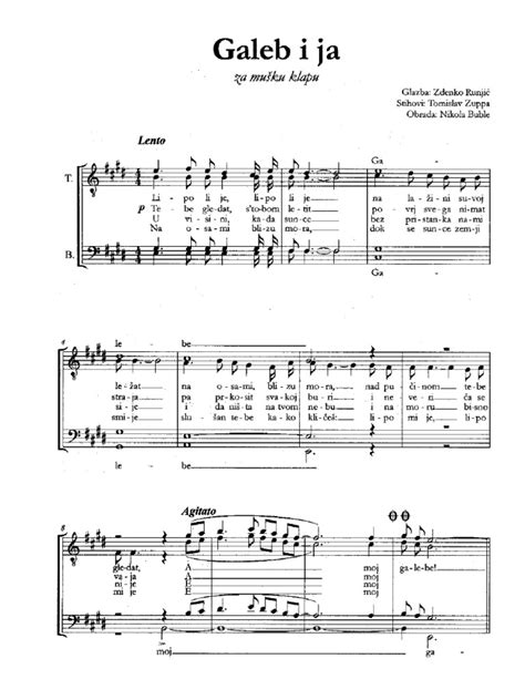 Galeb I Ja Pdf Pdf