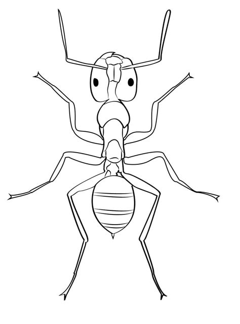 Ants Go Marching Coloring Page Download Print Or Color Online For Free