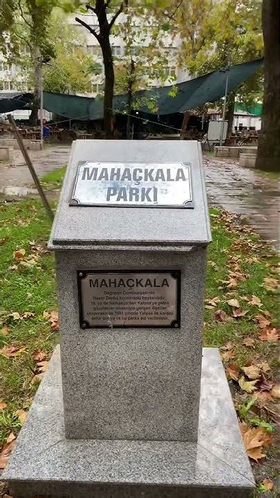 Парк «Махачкала в Ялове Турция Parkı “mahaçkala” Yalovda Youtube