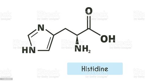 Histidine Structure