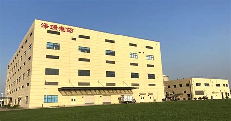 泽璟制药2019年度业绩说明会