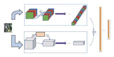 Dbnet Network Structure Diagram Download Scientific Diagram