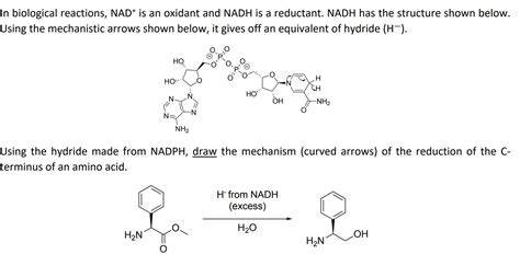 Solved In Biological Reactions Nad Is An Oxidant And Nadh