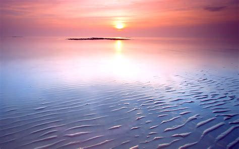 Oberon OBERON SYSTEM QUANTUM Bioresonance Therapy Device Bioresonance Therapy Bioresonance NlS