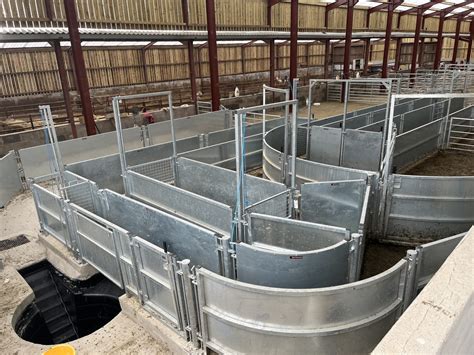 Bespoke Sheep Handling Systems Lm Bateman