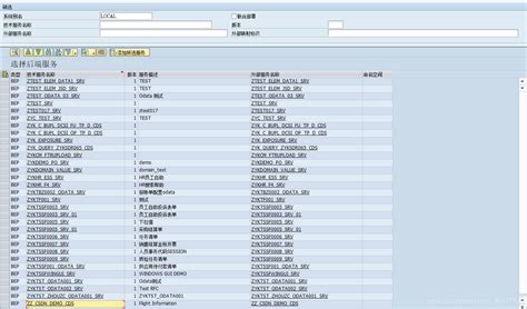 abap cds视图创建发布服务 cds 如何发布 服务 csdn博客