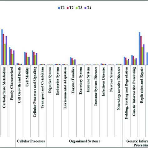 a statistical diagram of cog functional classification b kegg