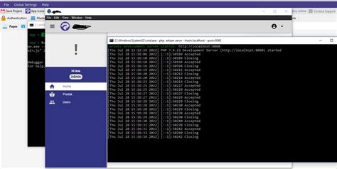Unable To Complete Request Due To Closing The Command Prompt Phprad Vue Radsystems Forum