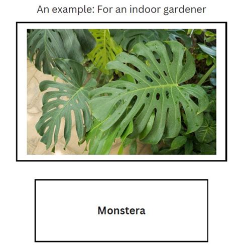 Creating A Matching Template