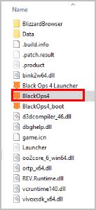 How To Fix Black Ops Fatal Errors Driver Easy