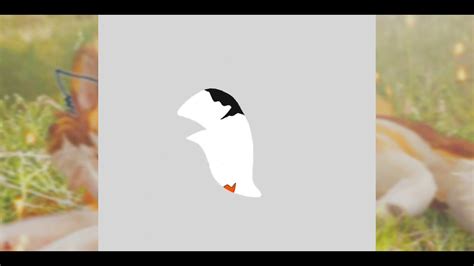 Tail Animation {my Character} Youtube