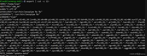 Linux command 管道 pipe pipe去哪看 CSDN博客