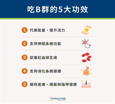 2024 B群推薦top 12：專家教你提升活力、代謝能量！ Puritans Pride Blog