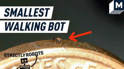 The Teeniest Robot In The World Is A Jumping Crab Mashable