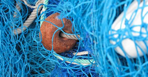Different Types Of Fishing Nets Tp Strong