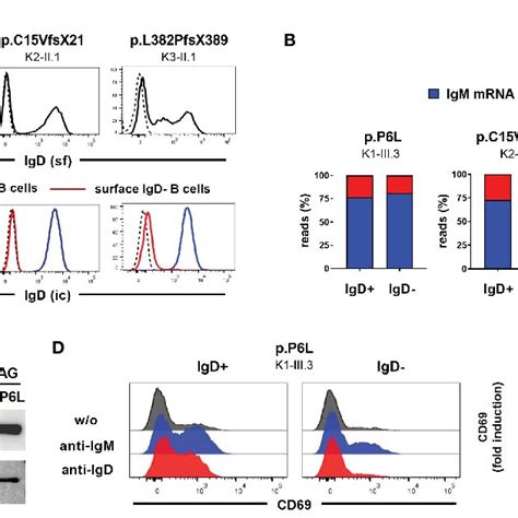 Characterization Of Ighd Variants Reveal Loss Of Expression Or