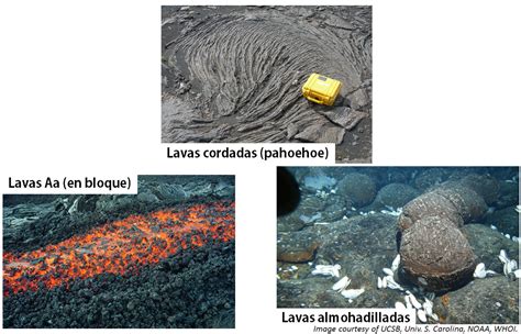 ¿entiendes La Ciencia Diciembre 2013