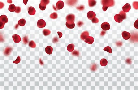 Kateina รูปถ่าย ภาพ สินทรัพย์ Adobe Stock