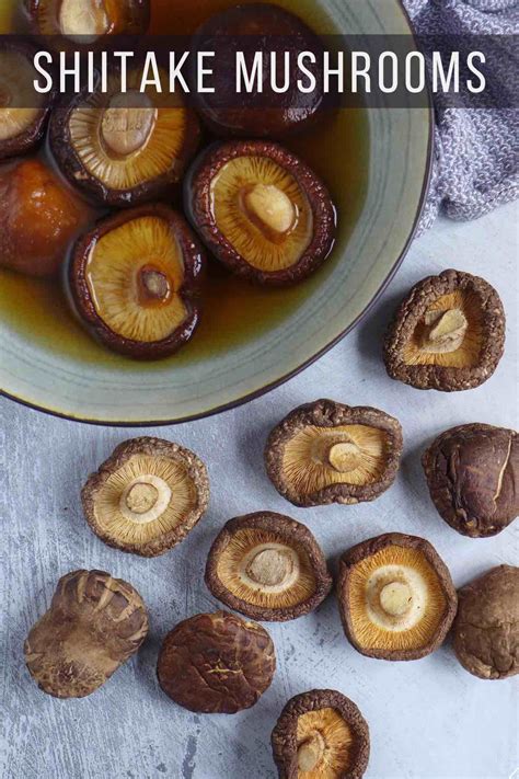 Shiitake Mushrooms A Complete Guide Red House Spice