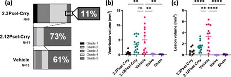 A Role For P Selectin And Complement In The Pathological Sequelae Of