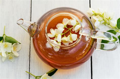 재스민 차와 꽃은 나무 흰색 배경에 유리 주전자에 닫힌다 녹색 재스민 차를 곁들인 찻주전자 꽃 나무에 대한 스톡 사진 및 기타 이미지 Istock