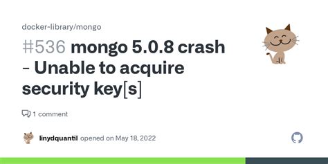 Mongo 508 Crash Unable To Acquire Security Key S · Issue 536 · Docker Librarymongo · Github